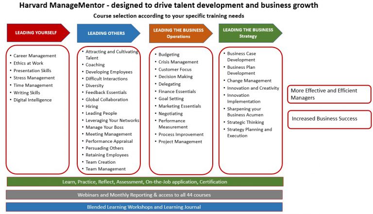 Build your future leaders with the Harvard ManageMentor program for ...